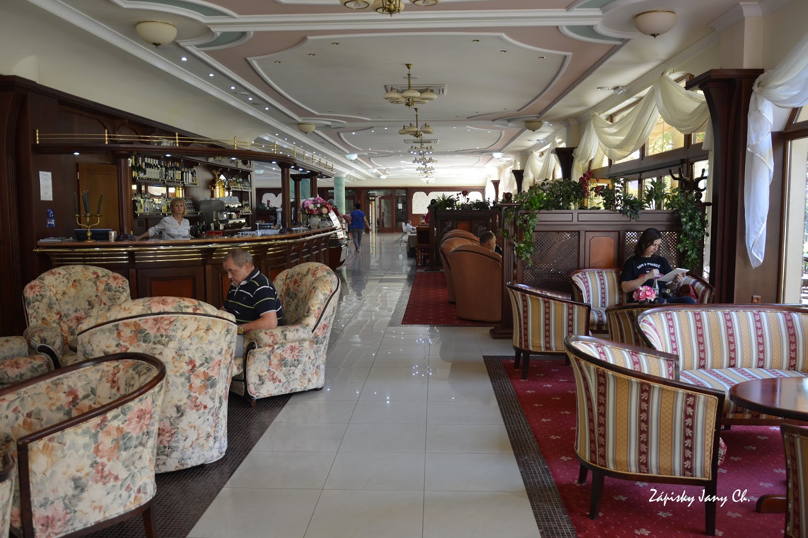 Zápisky Jany Ch.: 2018