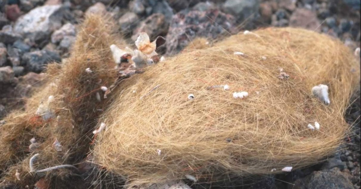 Hawaii Volcano: Pele's Hair Is Falling From the Sky | Geology In