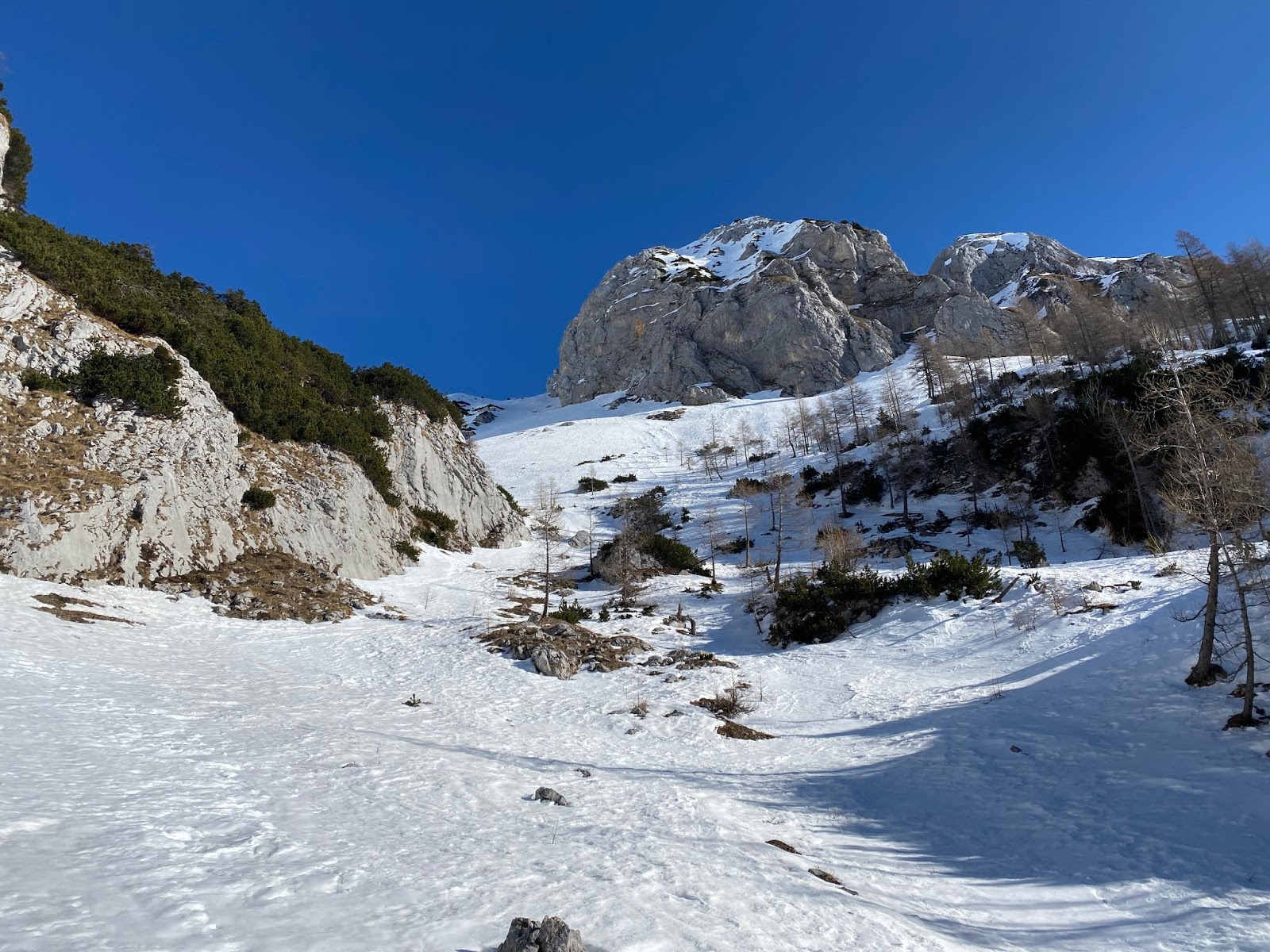 Modrina neba...: Utrinki: Za Kopico čez Hribarice