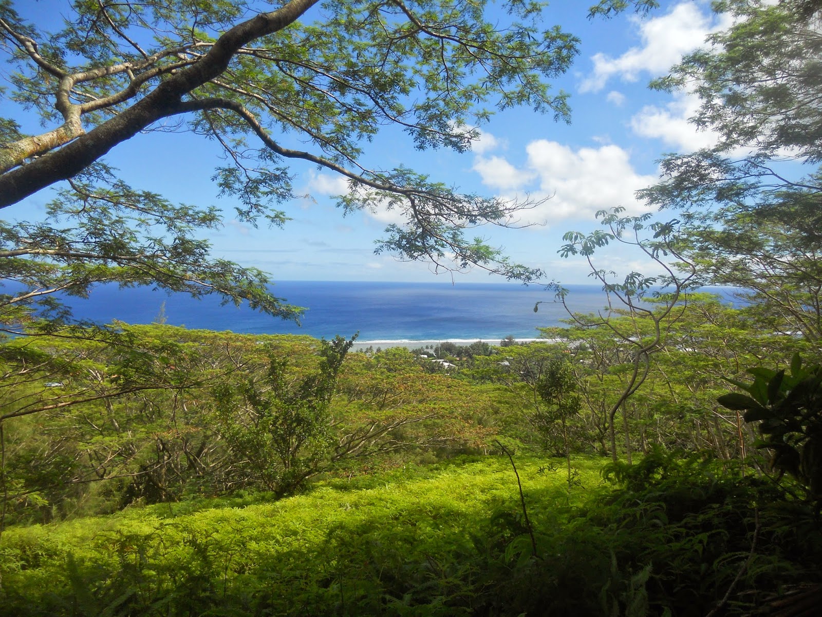 Another Day in New Zealand: Rarotonga Hike - Raemaru Heights Lookout