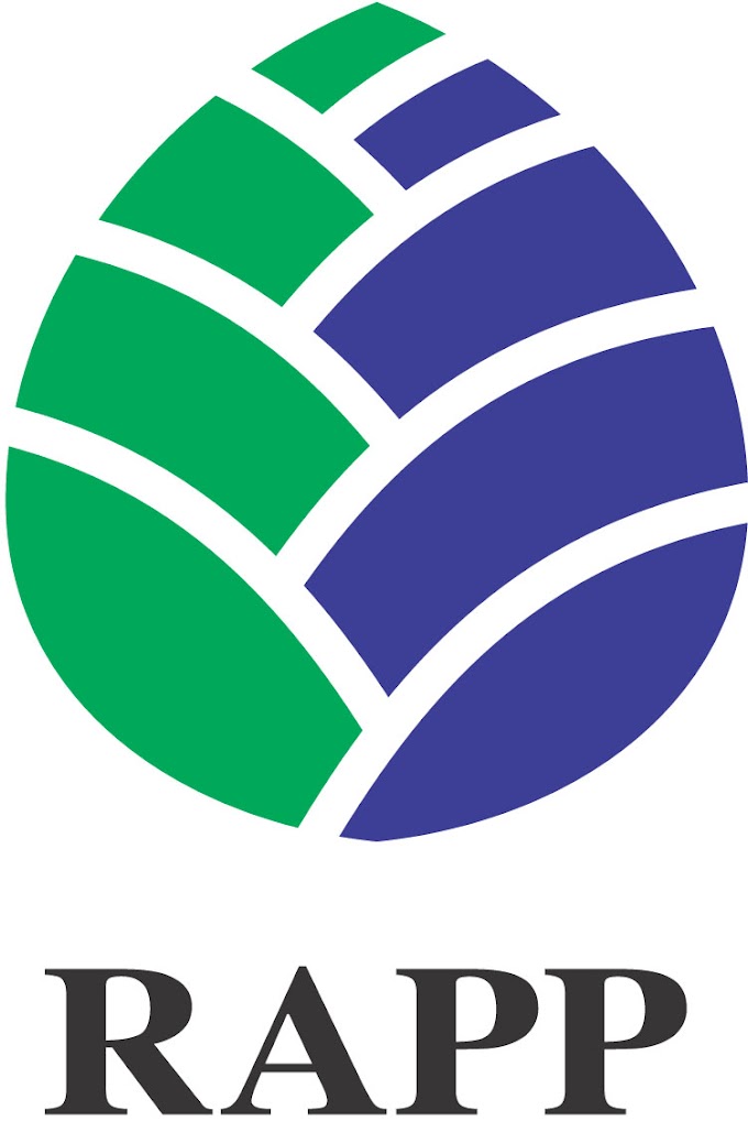 PT Riau Andalan Pulp and Paper (RAPP)