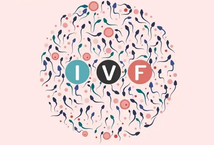 IVF TREATMENT: What is IVF Treatment? How much does this treatment cost ...