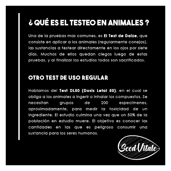 ¿QUÉ ES EL TESTEO EN ANIMALES?