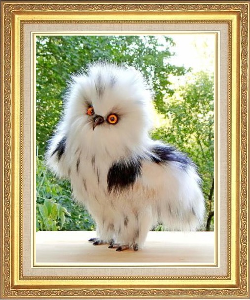 Resim ve Gif Dünyası: SEVİMLİ HAYVAN RESİMLERİ-1-