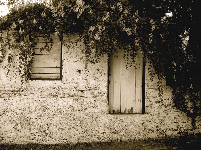 Thatch Berry Cottage