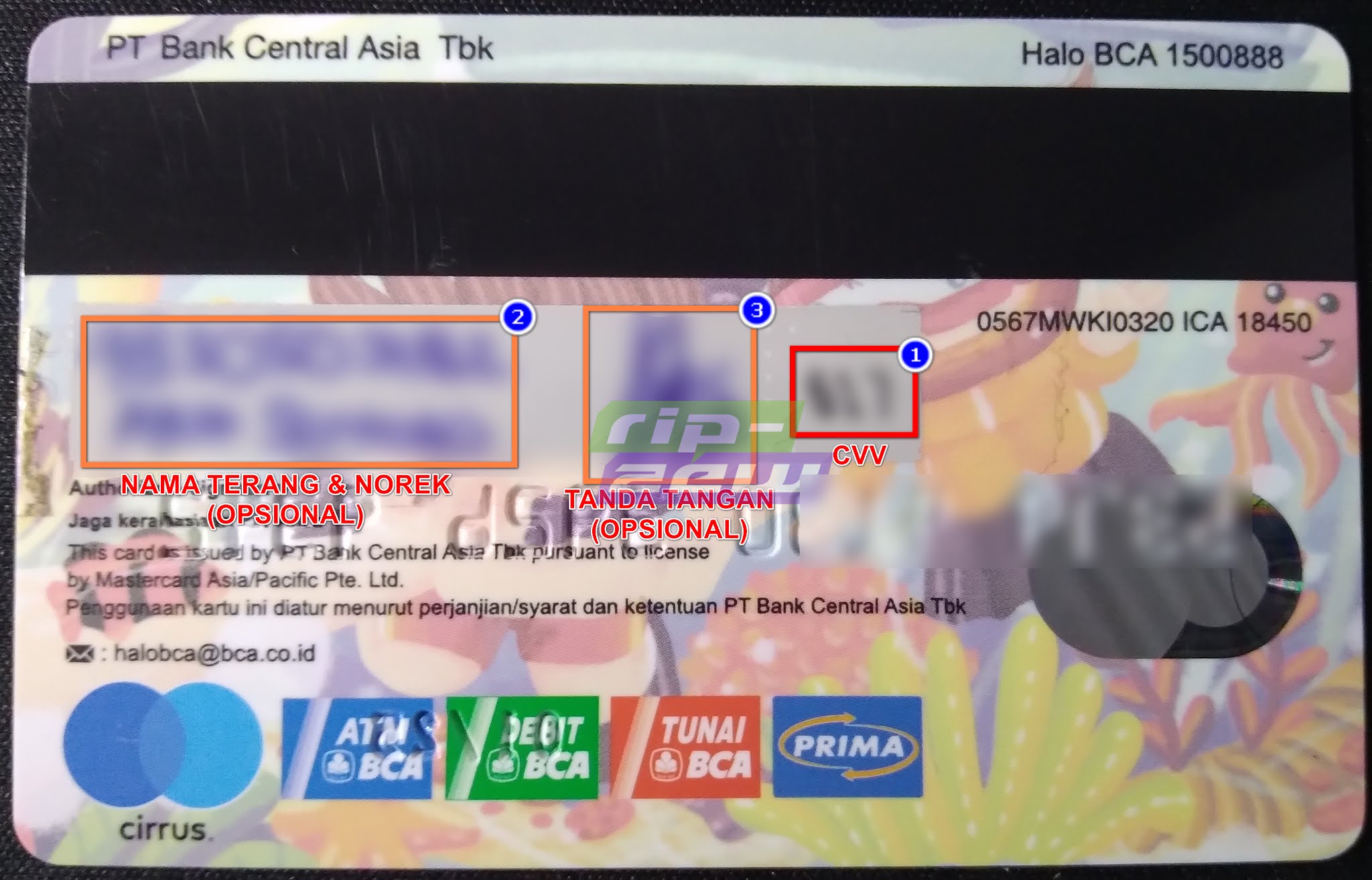 Dimana Letak CVV Pada Kartu Debit BCA? (MUDAH!) - ripzew | Website ...