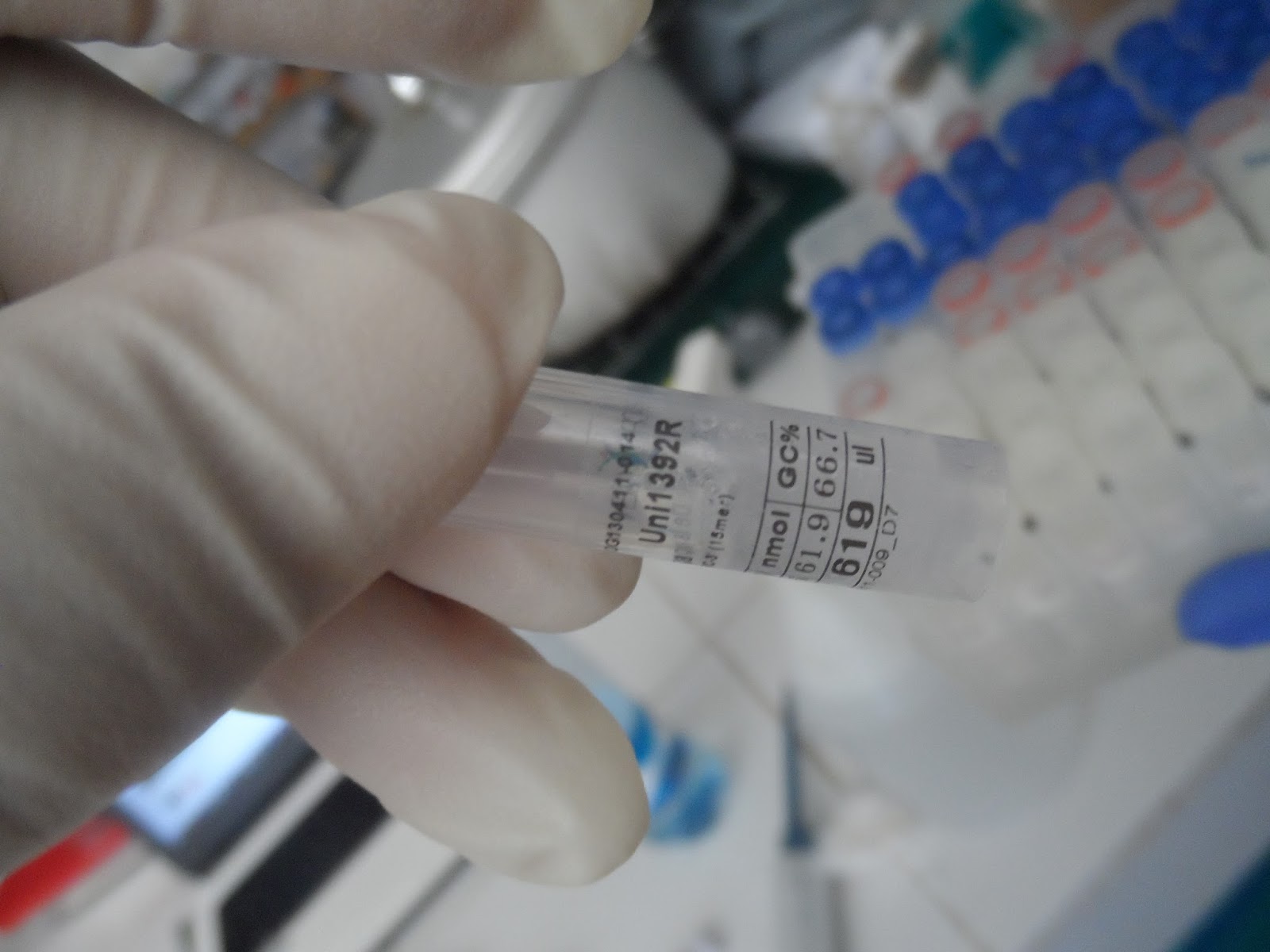 ecotoxicologia-bioensayos: PCR para hongos