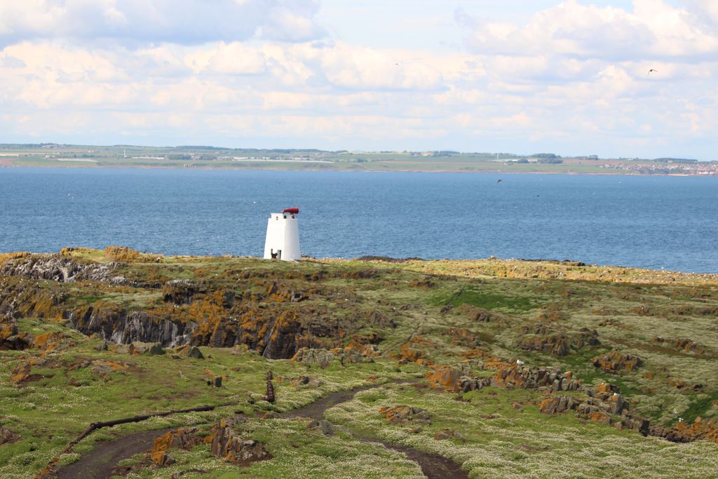 Excursion a la Isla de May (Escocia) para ver puffins | Sin mirar a nadie