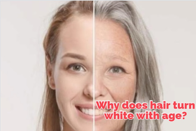 Why does hair turn white with age? ~ buzz health 59
