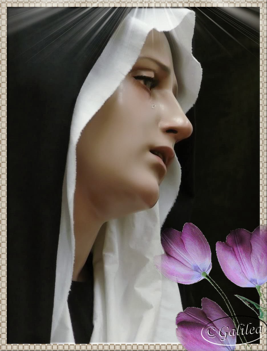 ® Virgen María, Ruega por Nosotros ®: IMÁGENES DE LA VIRGEN MARÍA DOLOROSA