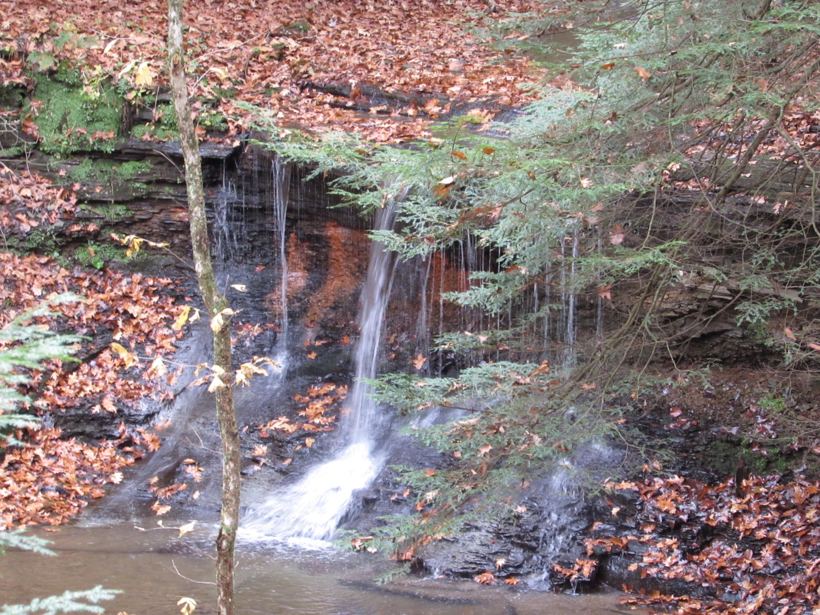McConnells Mill State Park: A Sightseeing Guide | Interesting ...