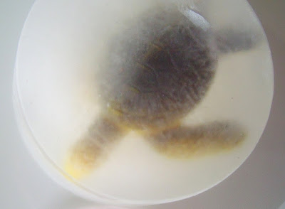 Messy Kids: It's Playtime: Under the Sea