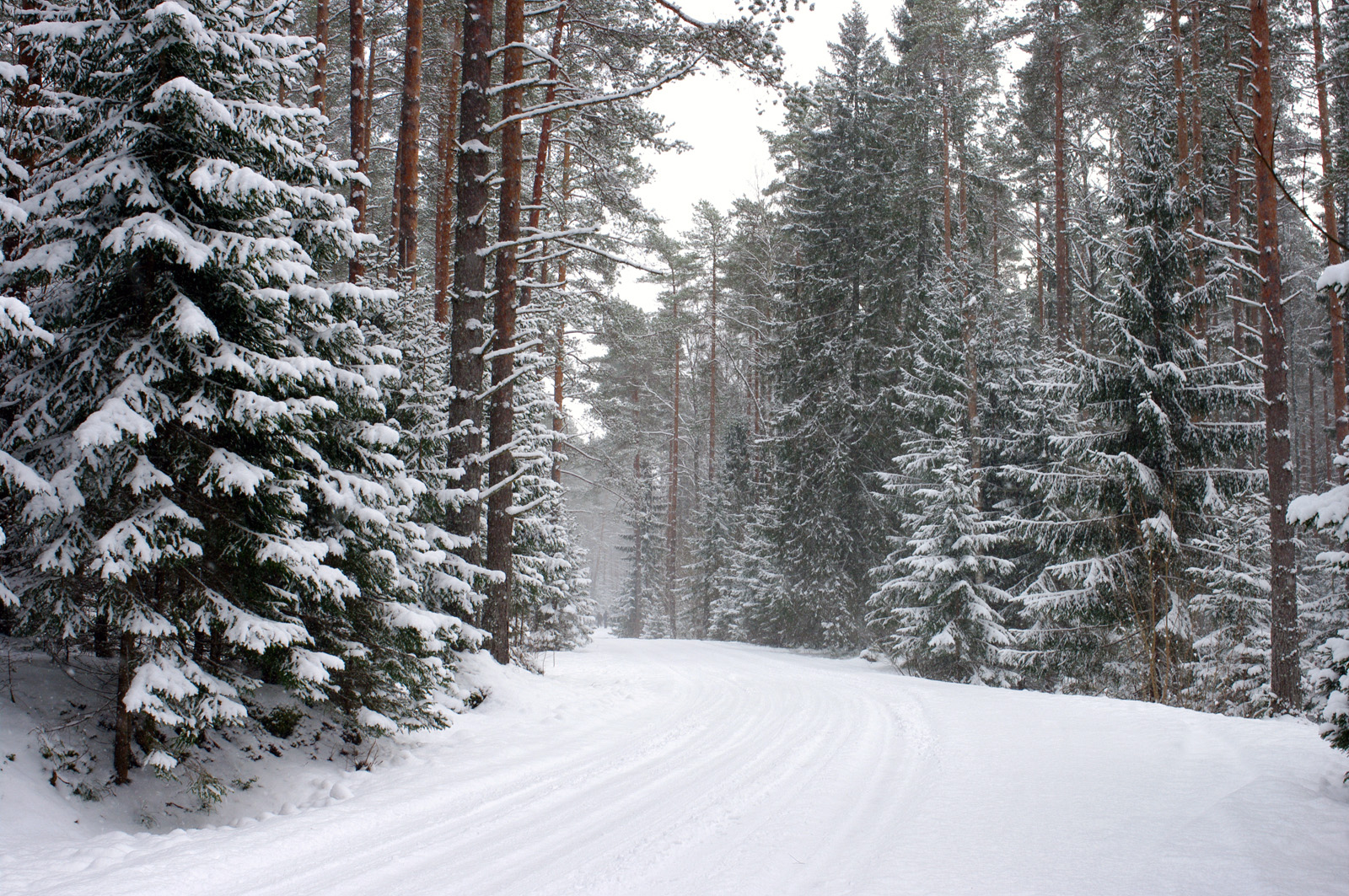 Kalevi pildiblogi: Talvepildid 2017