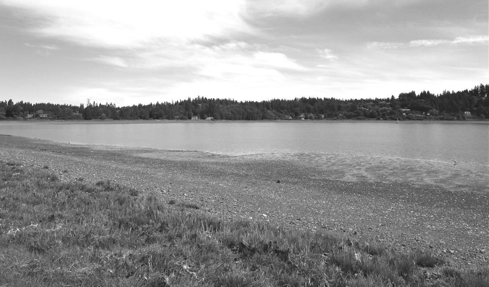 1000 Men, 1000 Stories : Photographs: "The Spit" at Comox, Vancouver ...