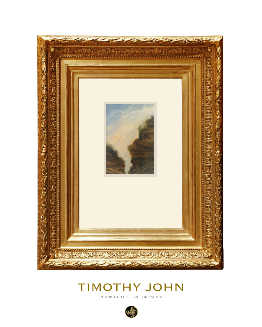TIMOTHY JOHN