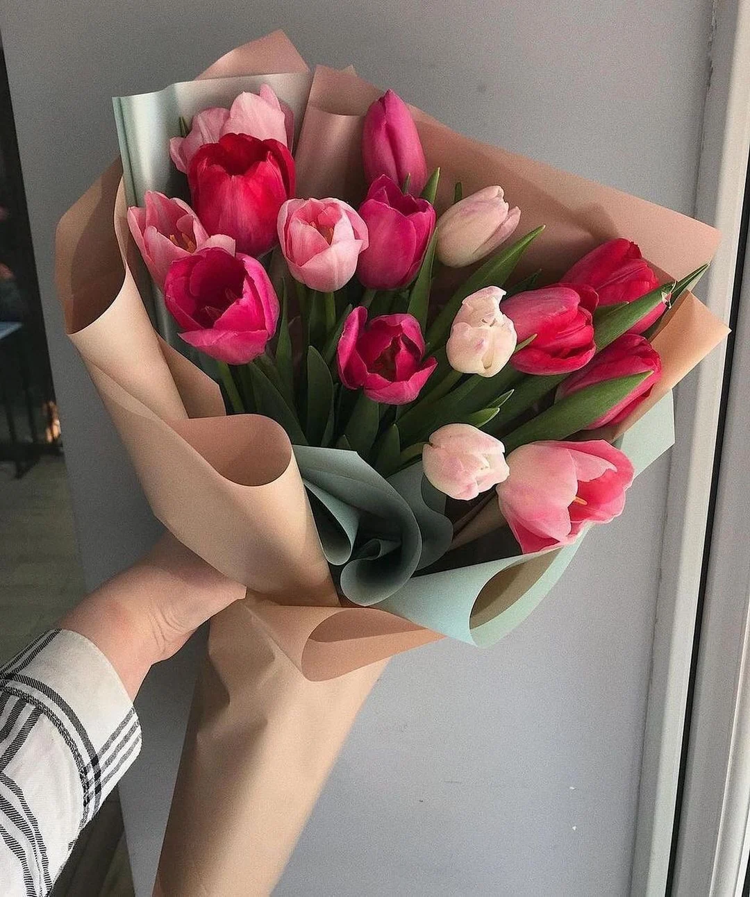 Tulip Colors and Symbolism. All you need to know before giving out ...