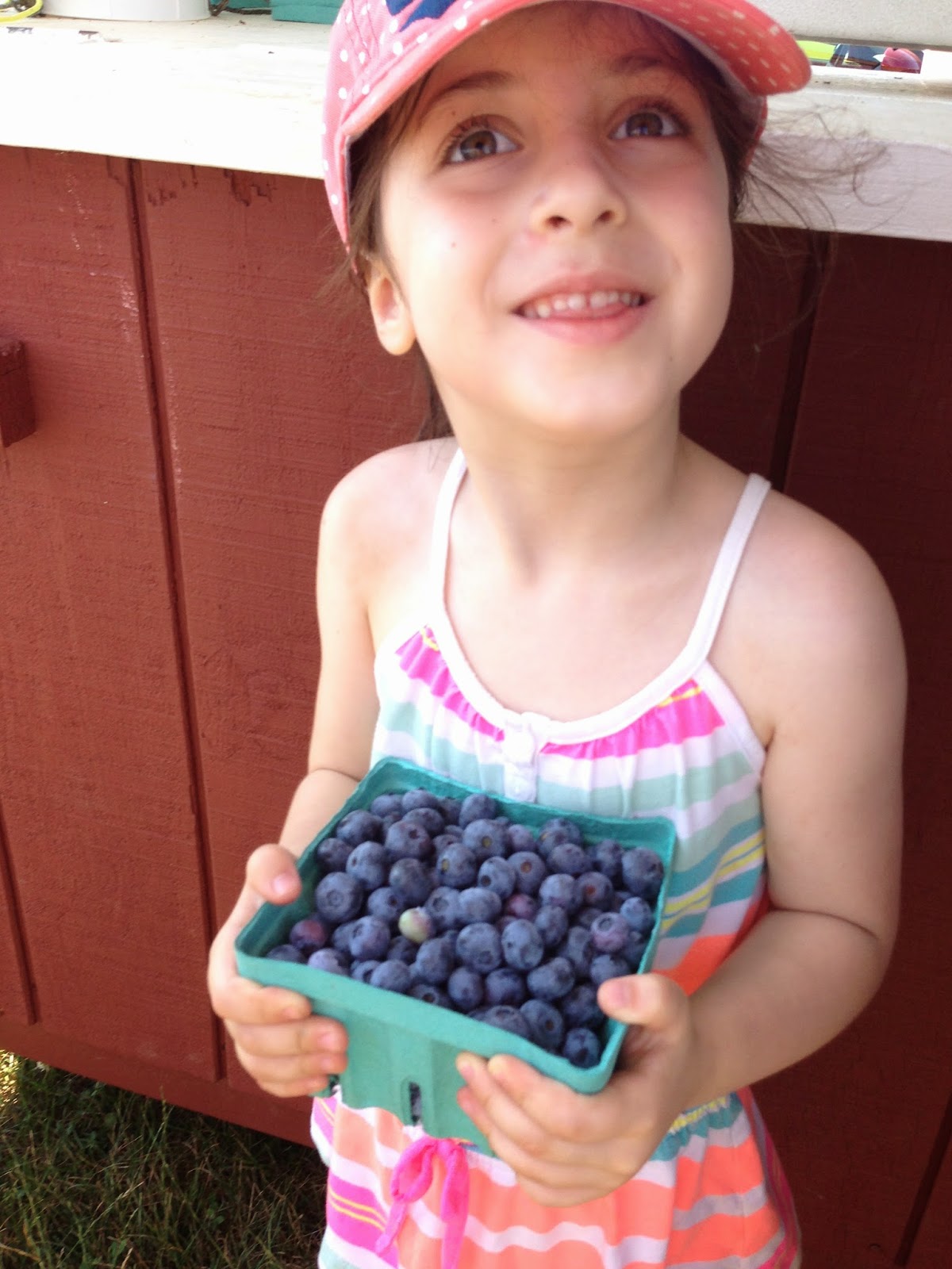 ORGANICALLY INCLINED... :)~: Blueberry Fields Forever... ;)~