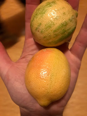 WheelsandEats: Passover Prep: Beet Vodka Cocktail Recipe