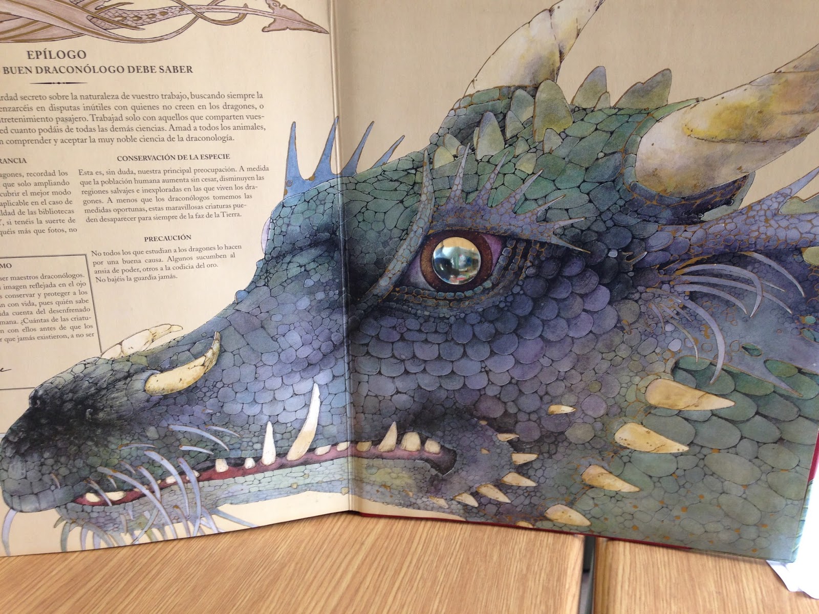 Nos divertimos en Primaria: Información sobre dragones.