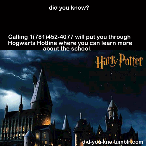 Blogging Is For Lovers