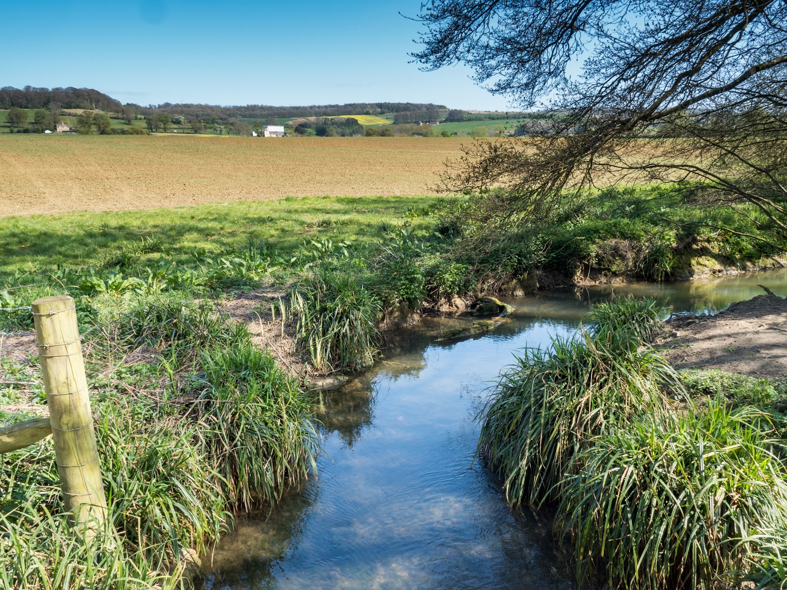 My Country Walks: Easter Monday 13th April 20220 Blossom in and around ...