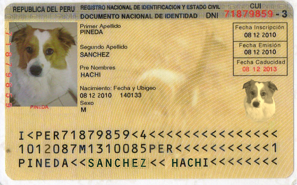 Andrés: dni de mi perro