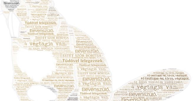 3.b osztály: Környezetismeret 03. 17.