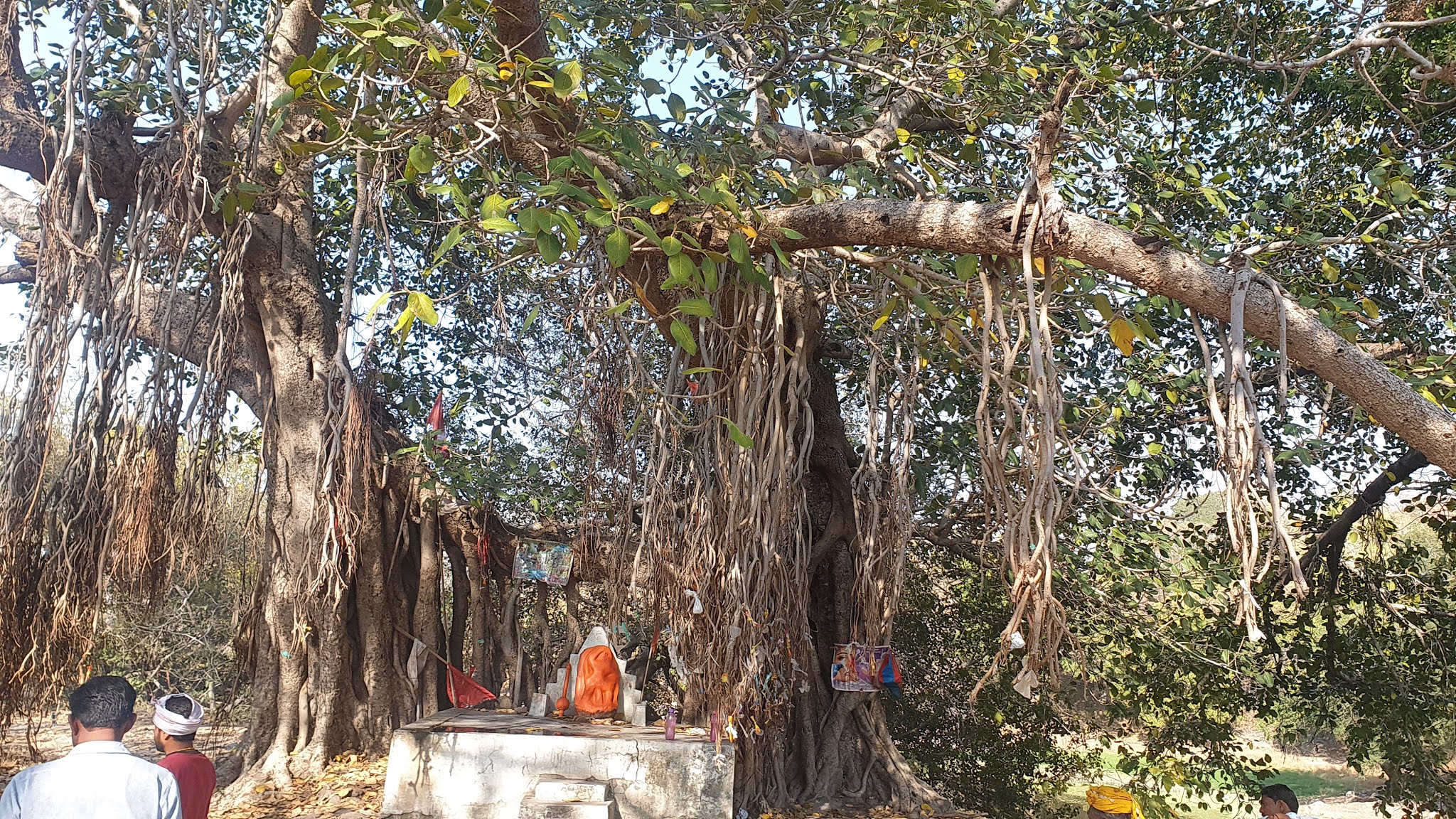 Chauragarh Fort (Chougan Ka Kila) (चौरागढ़ फोर्ट) Photos