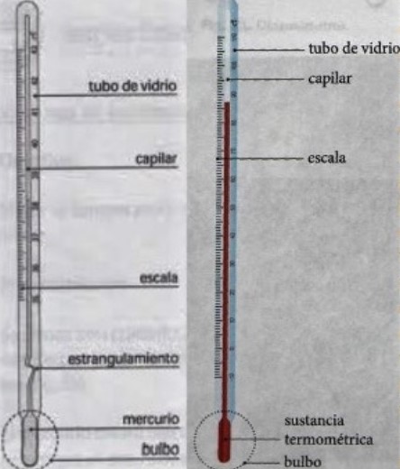 Prof. Ariel de León: noviembre 2020