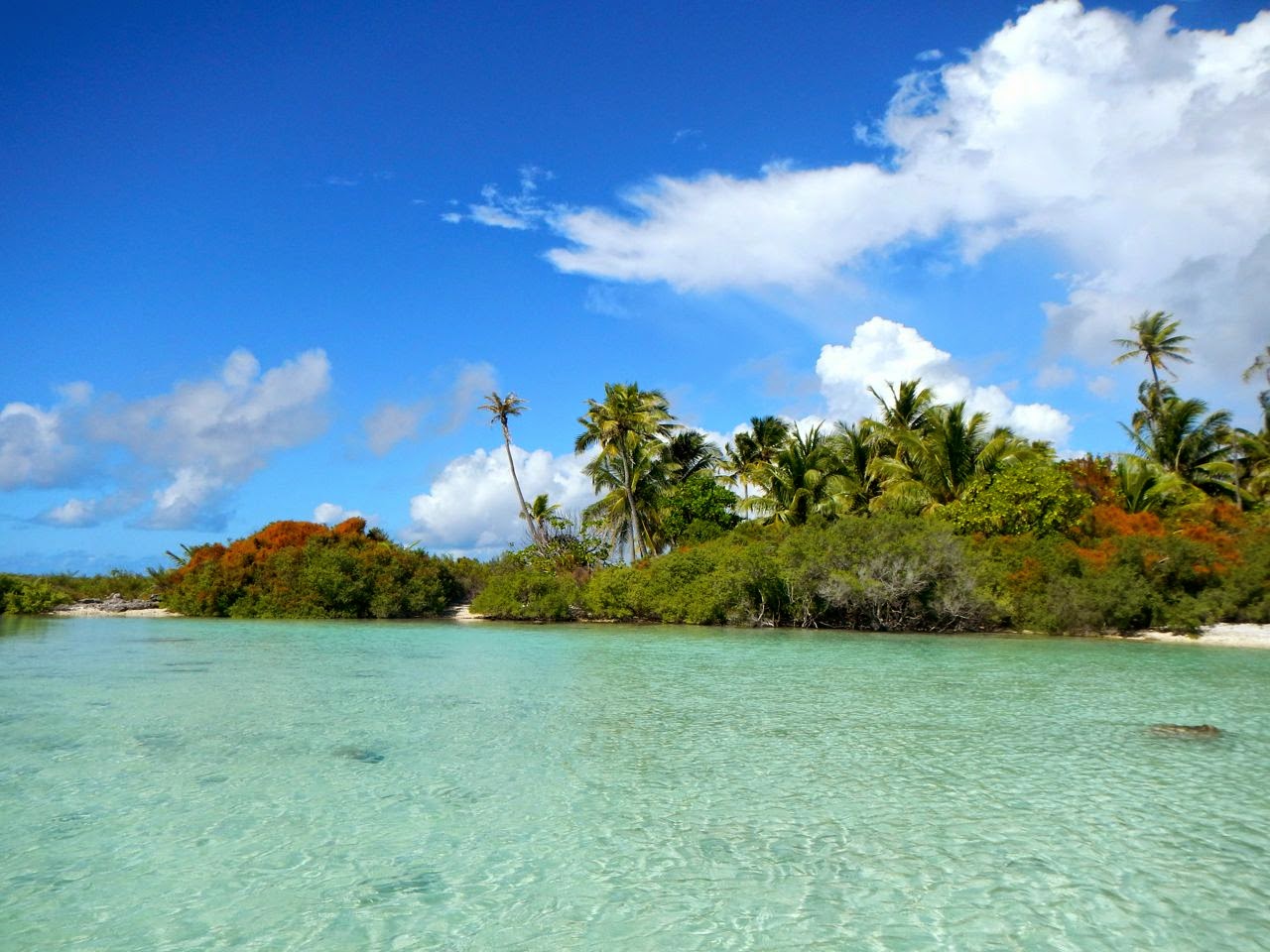 s/v Luckness: Photos from the Tuamotus
