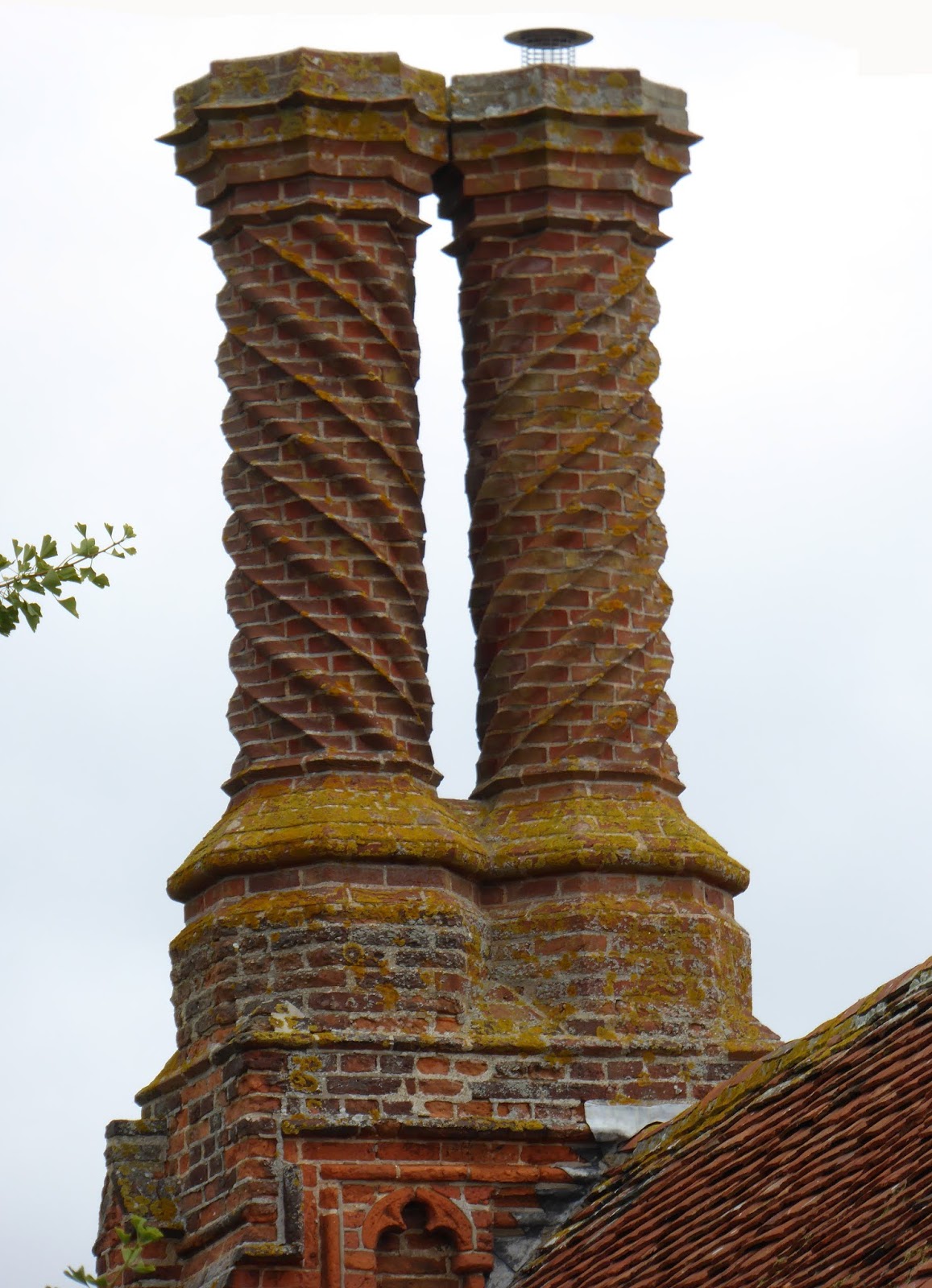 Wild and Wonderful: Layer Marney's Heritage and Wildlife