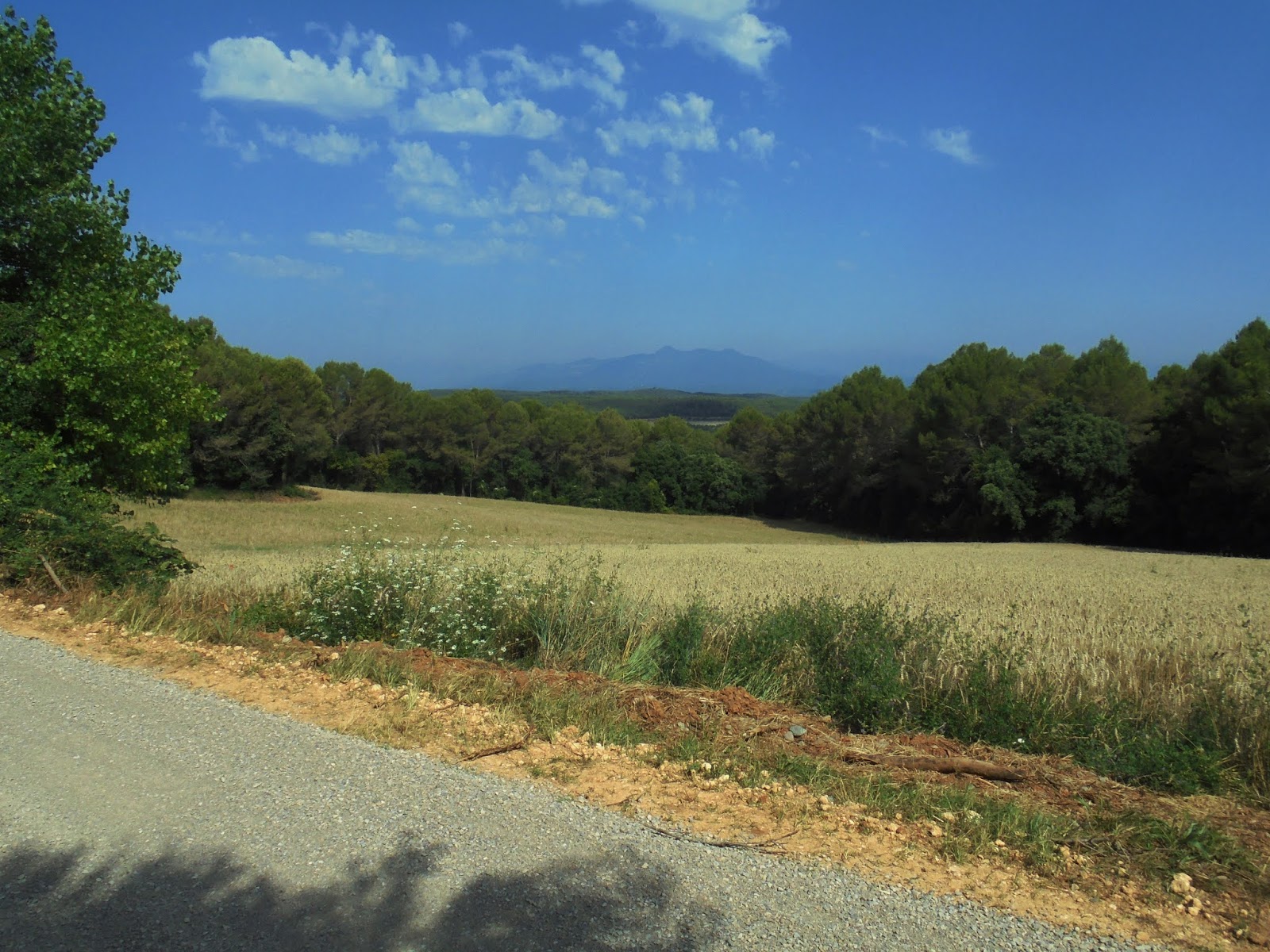 MUNTANYA: Vilademuls, Torre i Sant Marçal de Quarantella, Sant Julià de ...