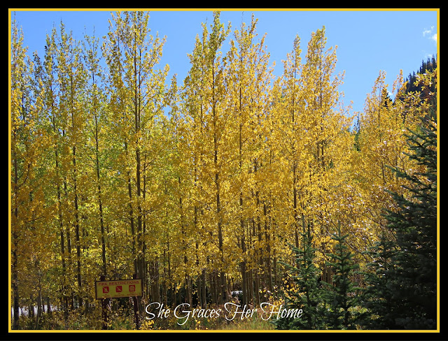 She Graces Her Home In God's Beauty: Our Glorious Fall Colors
