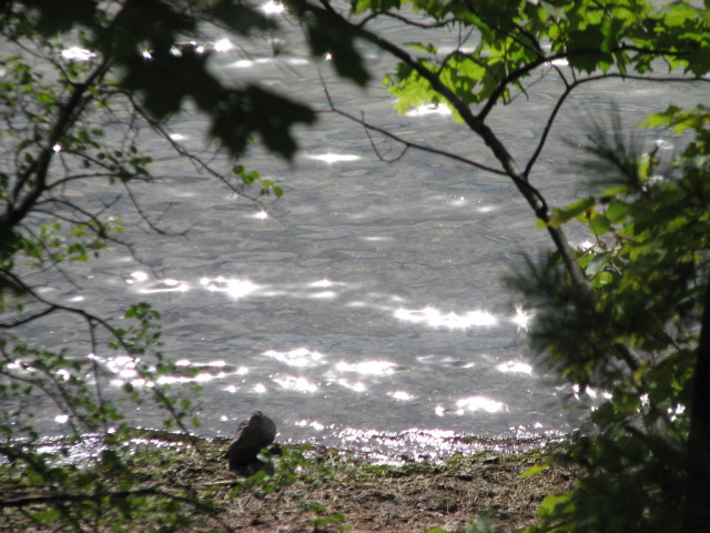 Red Rocks Park -South Burlington, Vermont | Litter with a Story To Tell