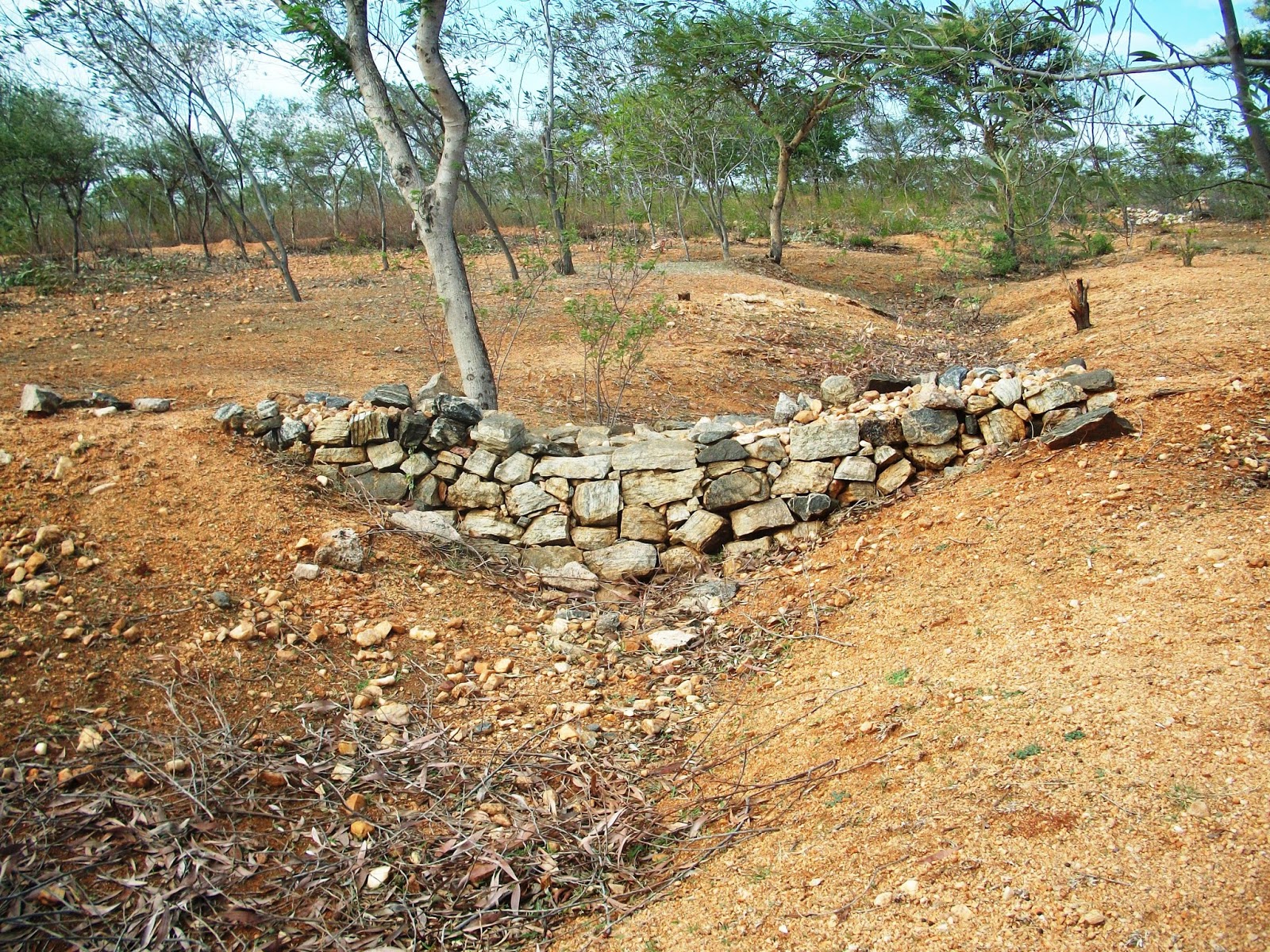 NGO News blog, NewsLine: Gully Plugging is an appropriate technique for ...