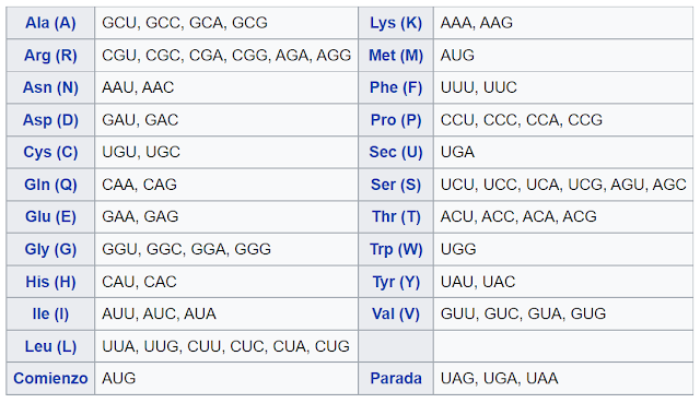 Ciencias Naturales en Secundaria: Código Genético