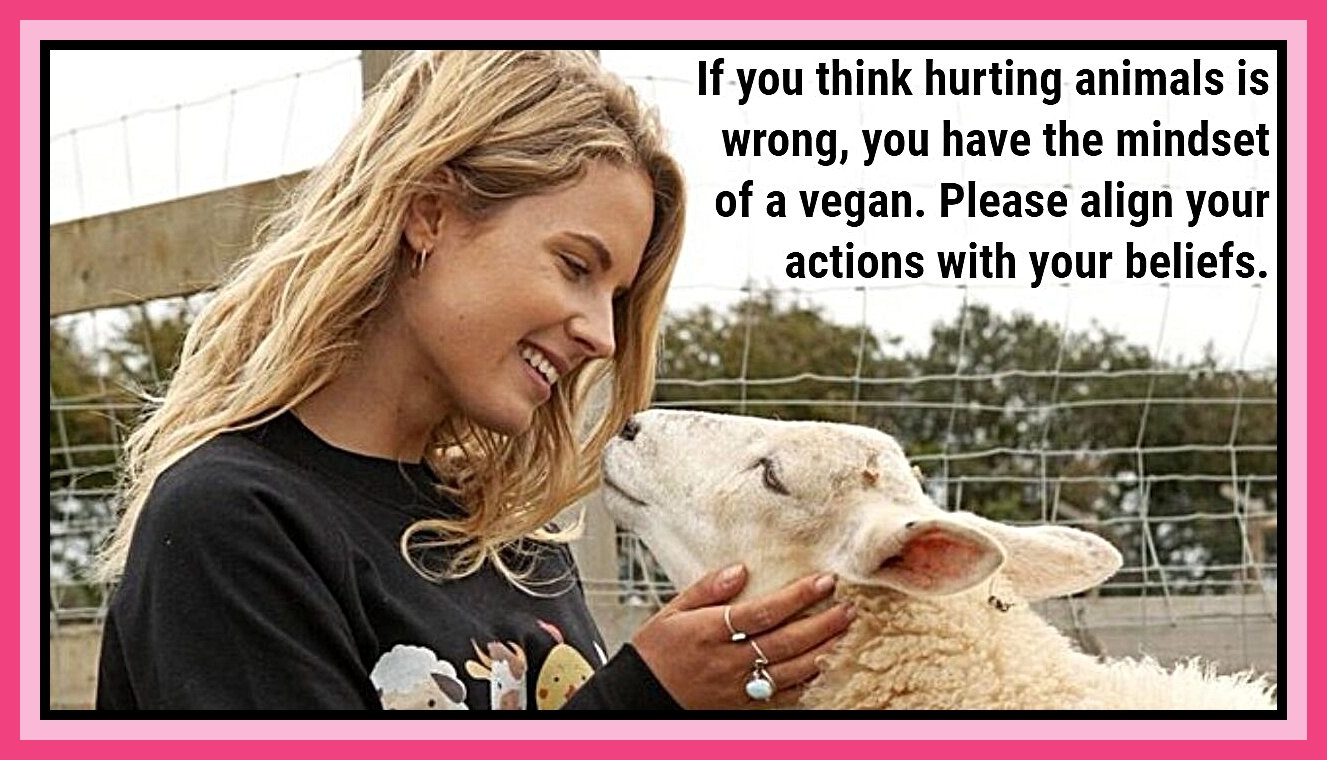 VEGANISM: A TRUTH WHOSE TIME HAS COME: 100 Vegan & Animal Rights Memes ...