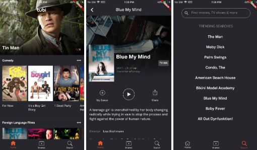 A movie app building with Flutter for fun - Flutter Tutorial