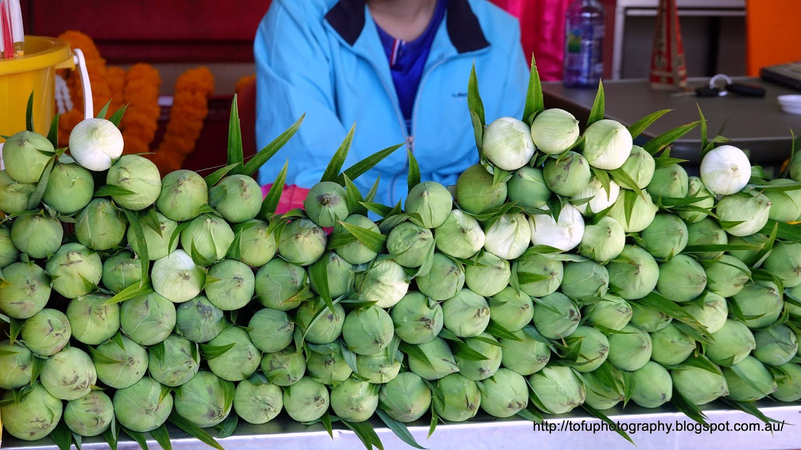 Tofu Photography: Lotus bulbs for sale in Nakhon Ratchasima, Thailand