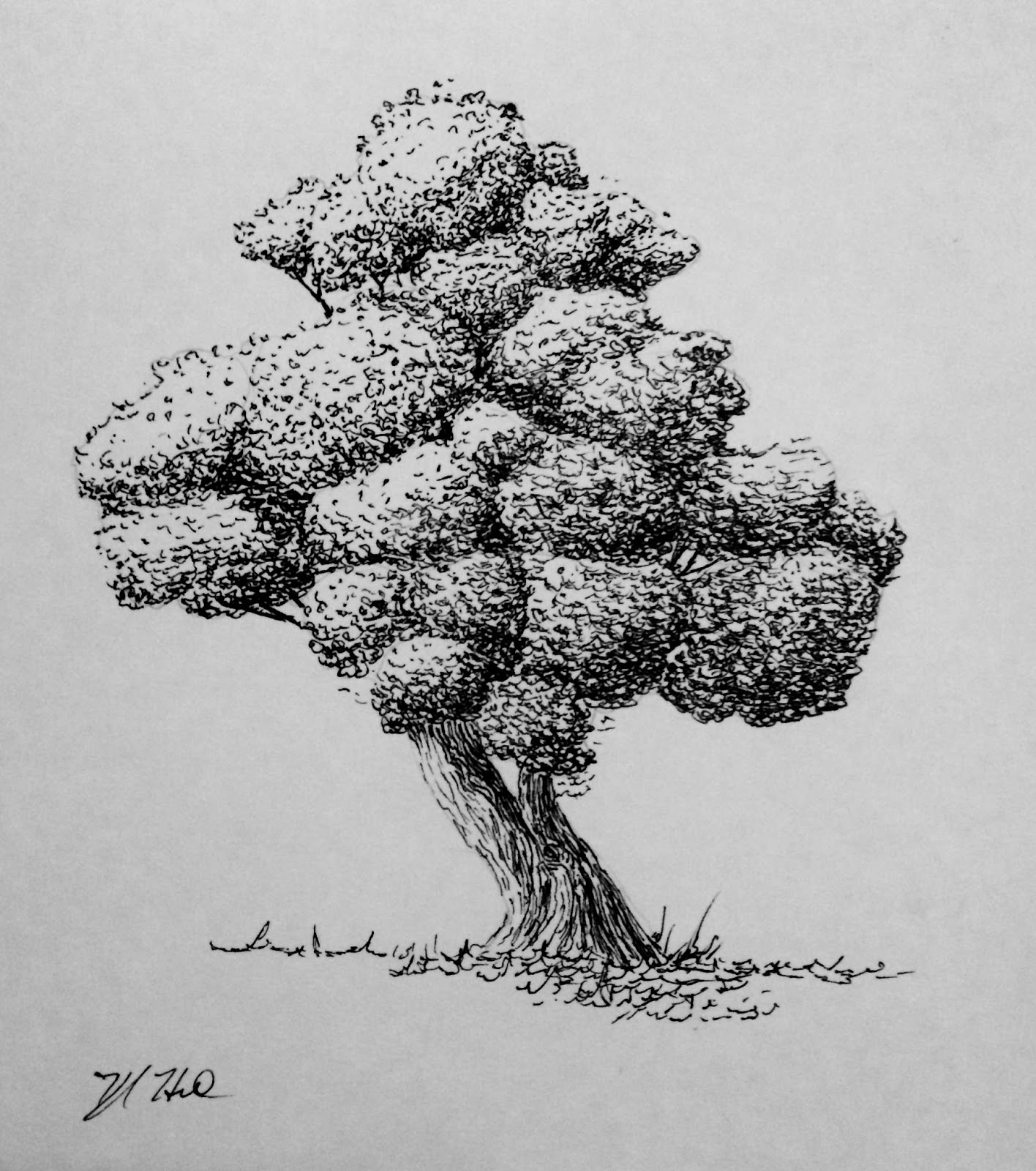 Animation and Art: Happy Trees (Pen and Ink Tree Sketches)