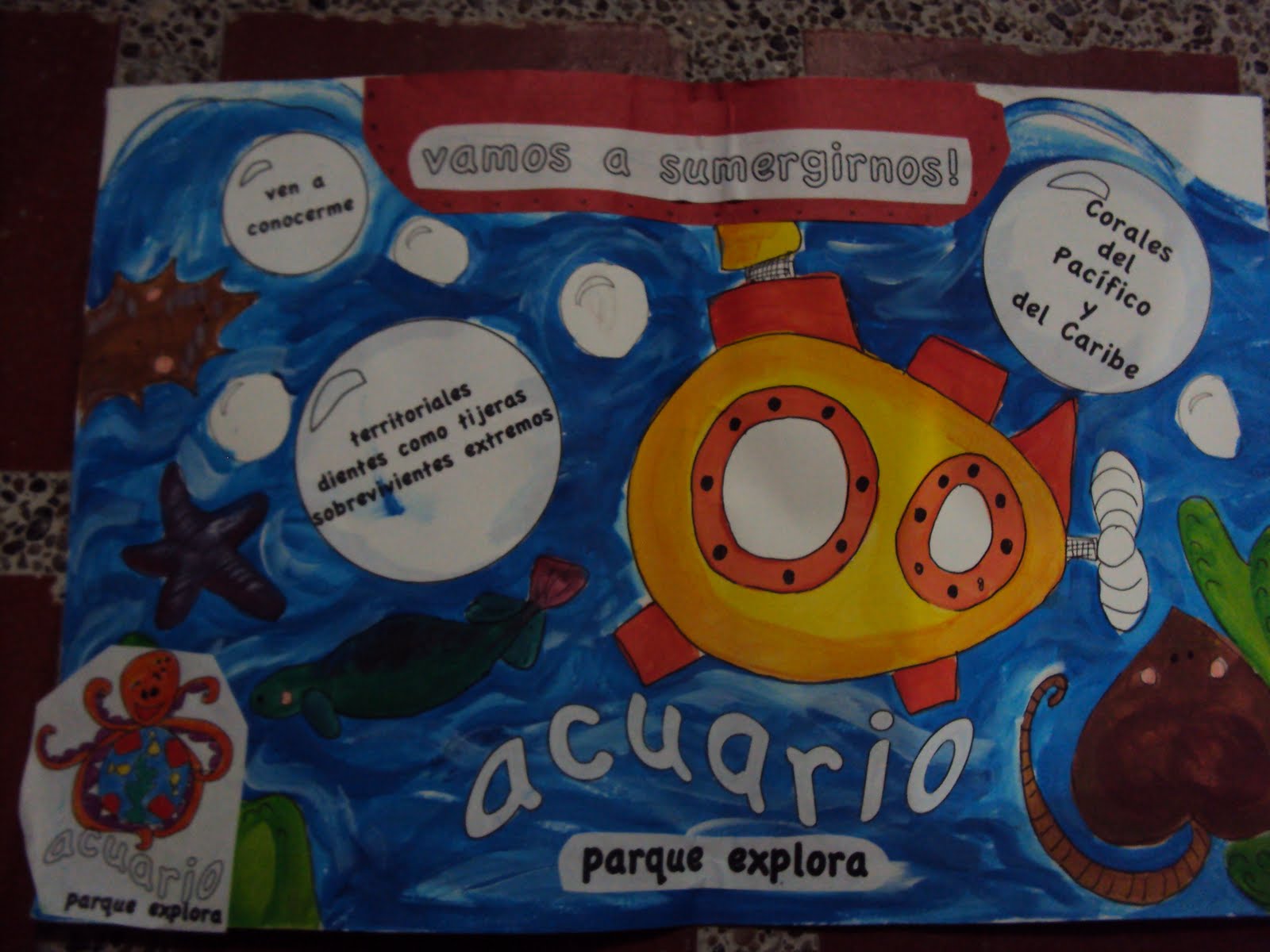 Procesos de Pensamiento y Sintaxis de la Imagen UPB: Acuario. Parque ...
