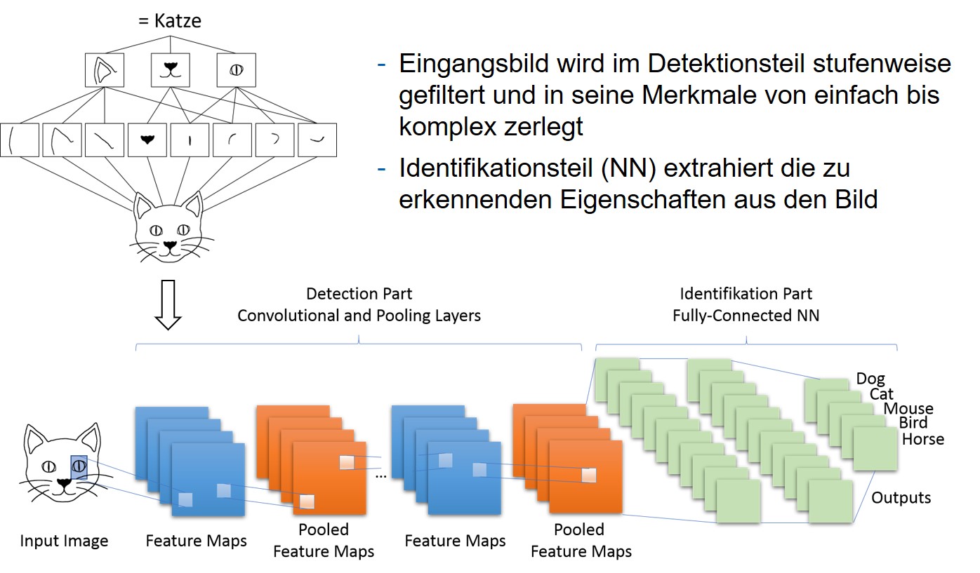 Custos Mucoris: Systemplattform zur automatischen Detektion von ...