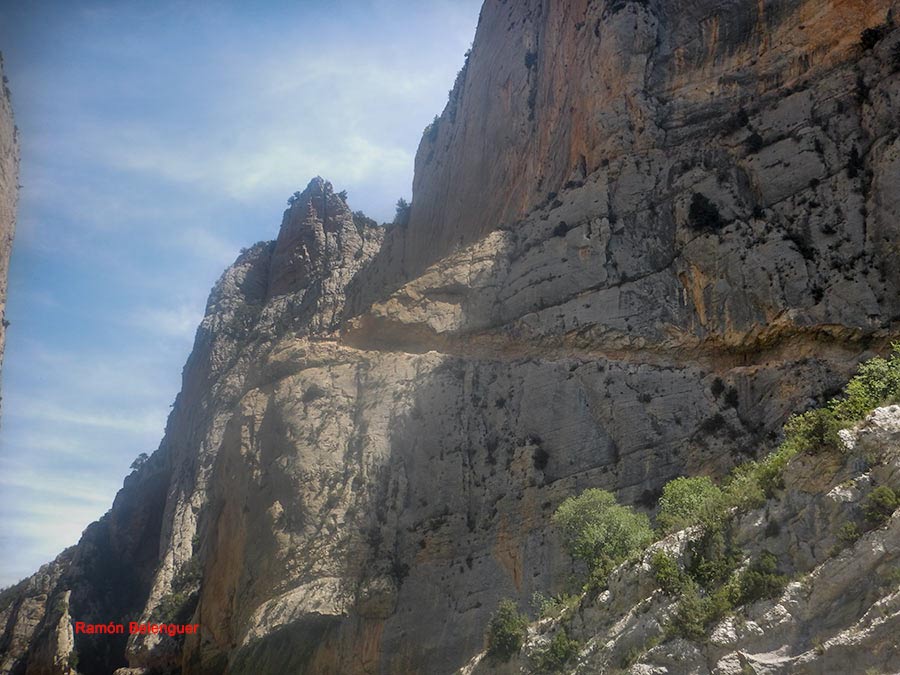 BICHOS Y MAS VLC: DE PASEO POR EL CONGOST DE MONT-REBEI Y LAS ESCALERAS ...