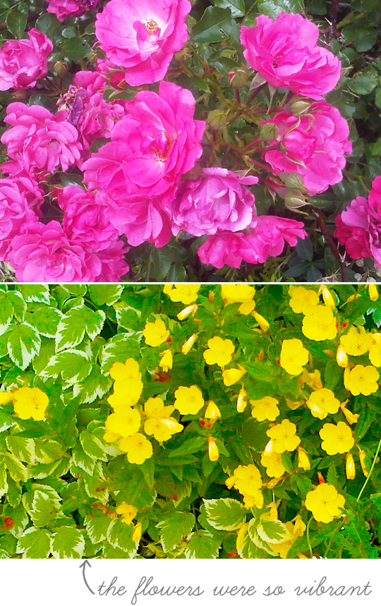 Bubby and Bean ::: Living Creatively: June 2011