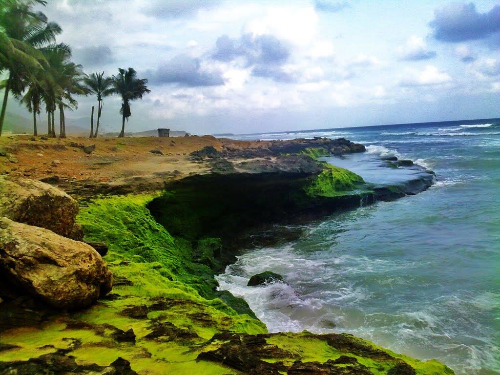 Salalah - Dhofar region in Sultanate of Oman: Dhalkut - Salalah ...