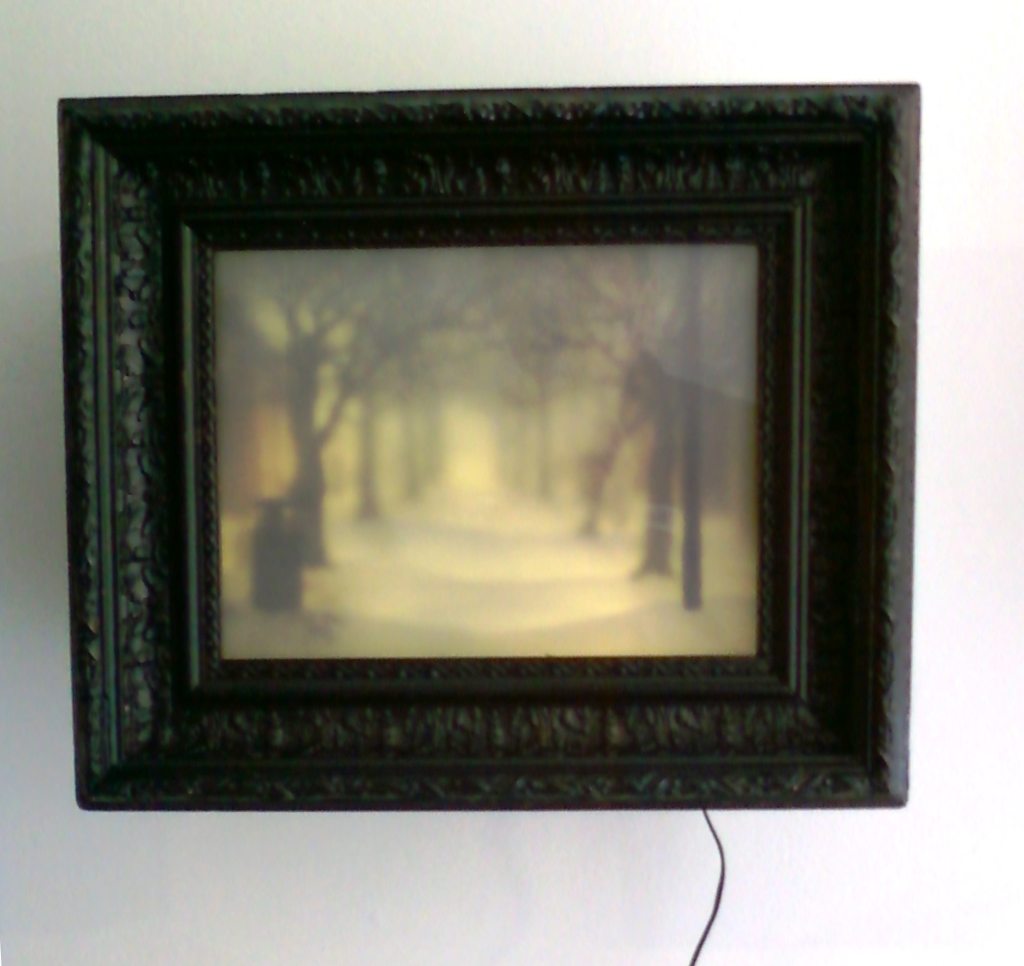 Washington Glass School: Ginny Ruffner: A Movie & A Show