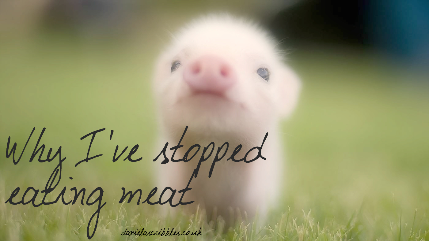 Daniela Scribbles Why I ve Stopped Eating Meat daniela-scribbles-why-i-ve-stopped-eating-meat