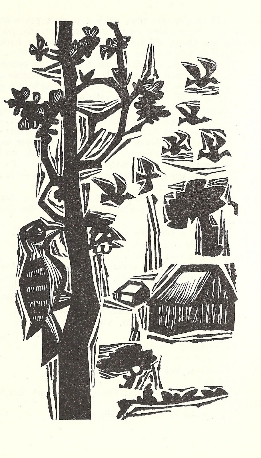 João Guimarães Rosa: Fortuna Crítica II - Sagarana | Templo Cultural Delfos