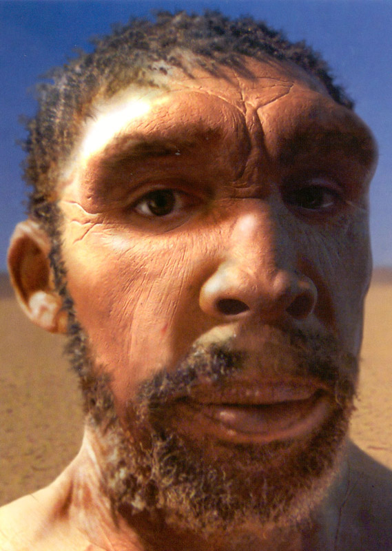 EL HOMO RHODESIENSIS: CARACTERÍSTICAS. | Los origenes del hombre