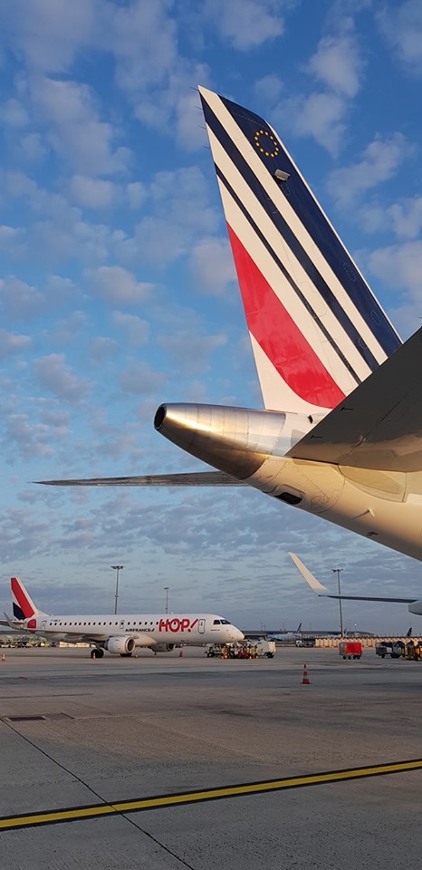 Life in the sky: Premier vols aux commandes d'un avion (de Hop!) aux ...